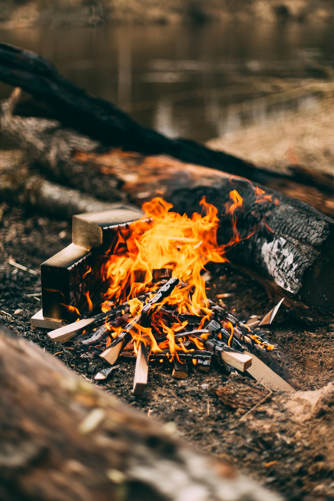 What Should I Prepare Before Camping? 15 Essential Tips for an ...